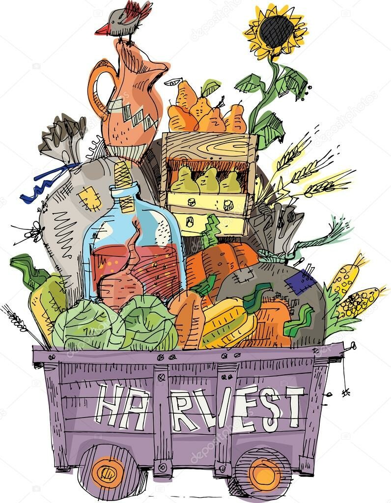 Ampleforth - How I Explained It To My Girlfriend