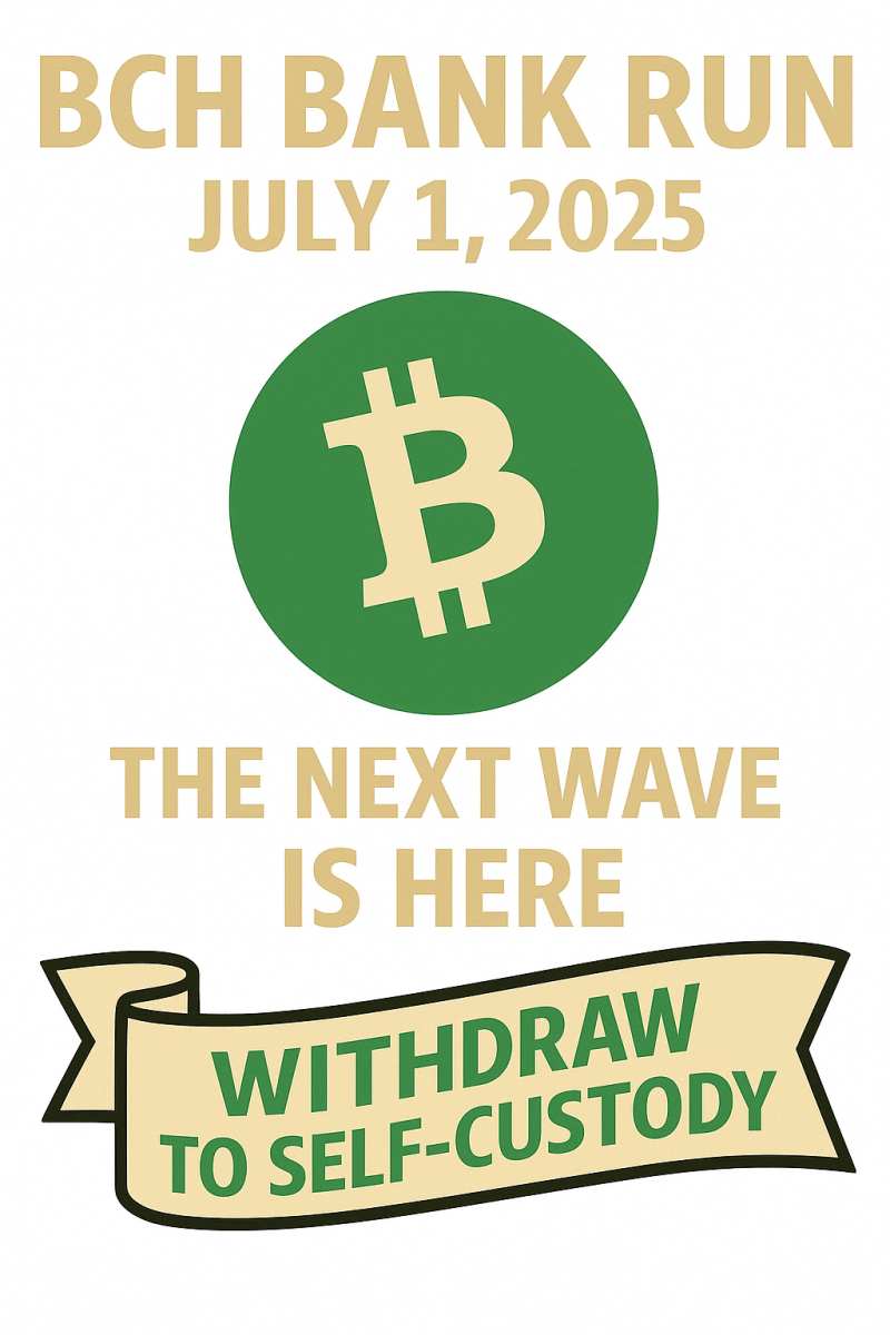 BCH Bank Run V9 – July 1, 2025: The Next Wave Is Here