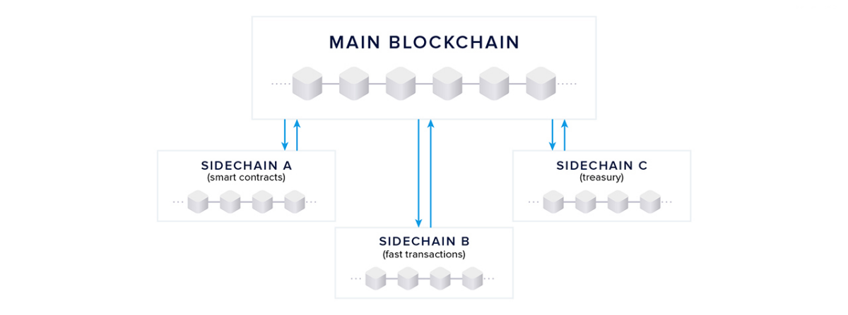 polygon basics!: what is and why is important!