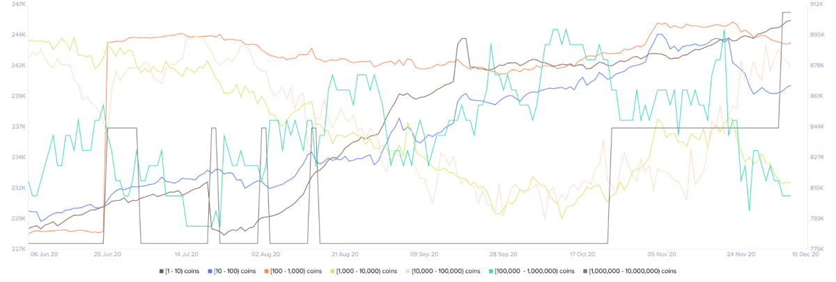 Why Does The Ampleforth Holder’s Distribution Chart Seem So Fair?