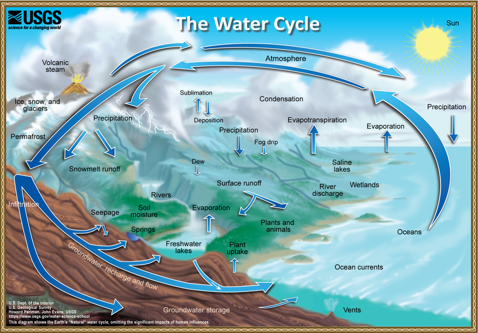 Exploring "Trapped Water": Beyond the Bottle