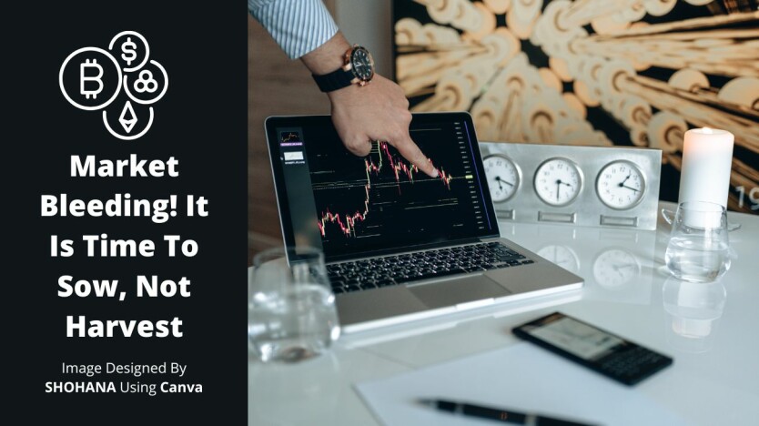 Market Bleeding! It Is Time To Sow, Not Harvest