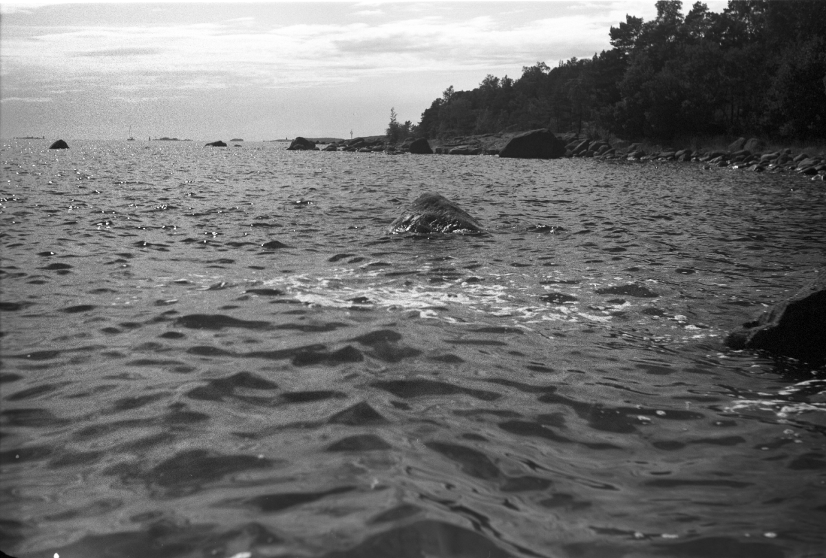 An expired Agfa APX100 film brought to life