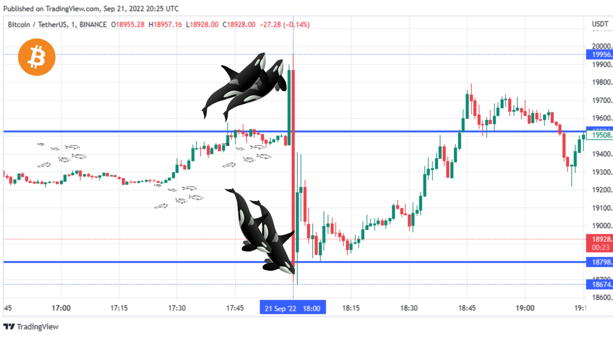 How to Deal with Crypto KILLER-Whales