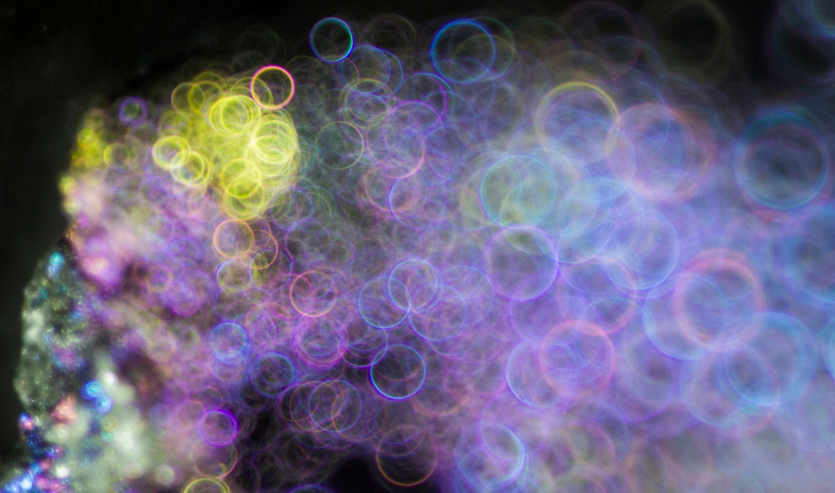 Abstract photos using very shallow depth of field