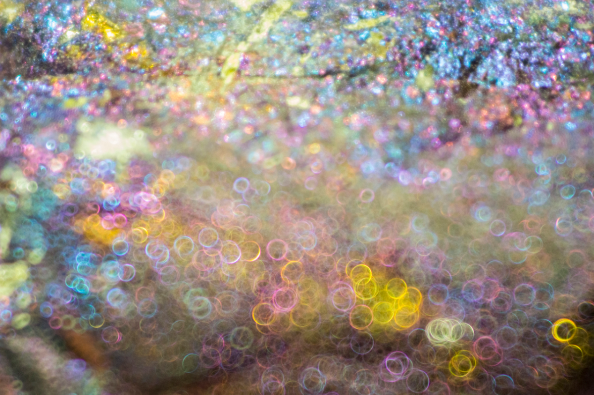 Abstract photos using very shallow depth of field