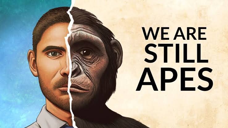 What Will Overpower or Outsmart Humans First? AI or Apes?