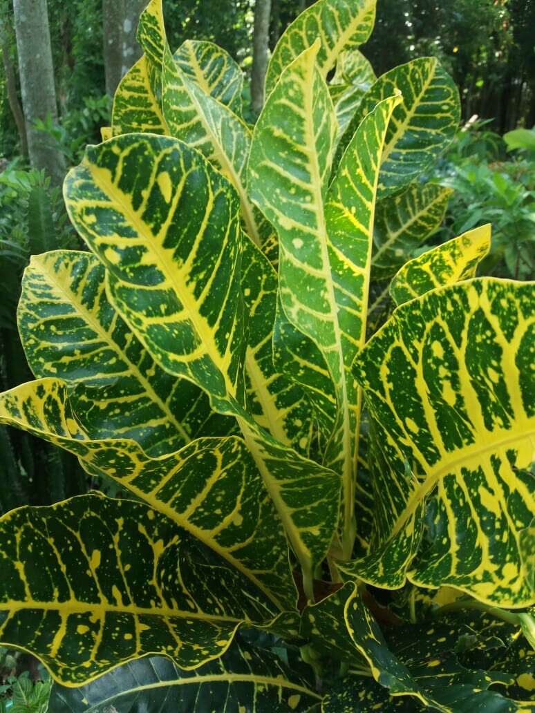 Some PATA BAHAR photography of my self