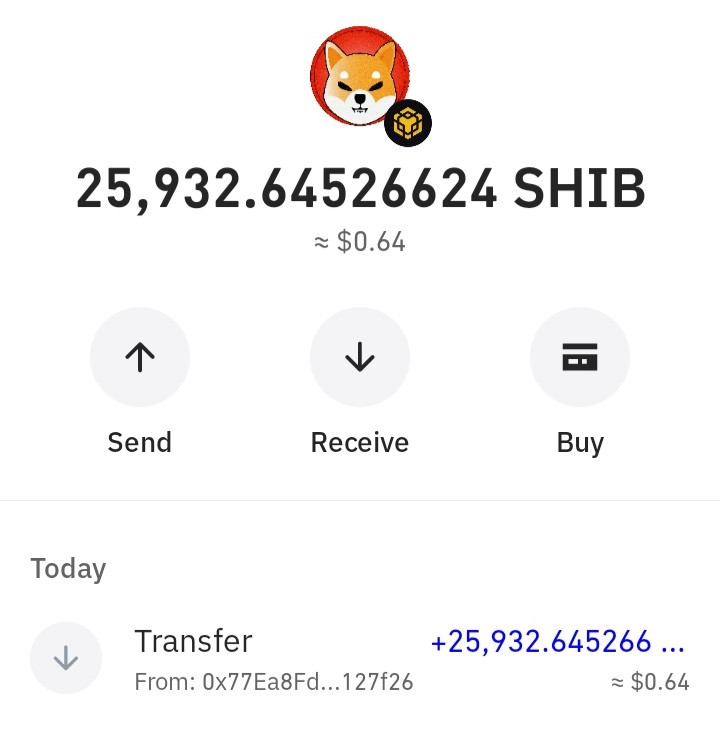 The Long Road to My First SHIB Tokens
