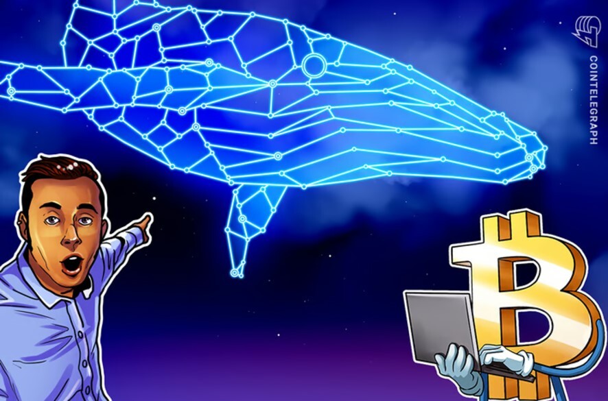 New Theory About Satoshi Nakamoto: The ‘2010 Whale’ Who Never Rested