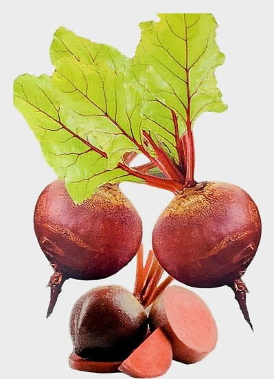 Beetroot: Health Benefits and Growing Tips.