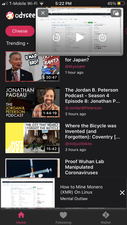 Latest Odysee iOS App Update Introduces Picture-In-Picture Playback