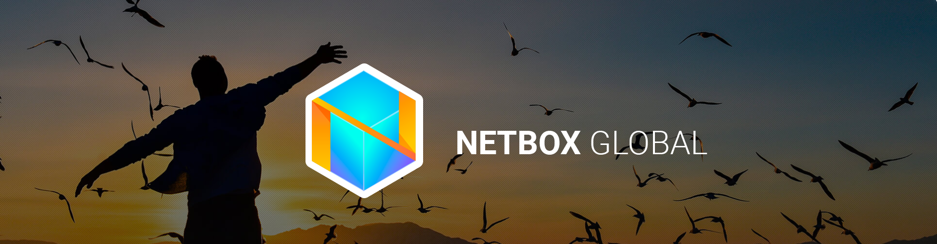 Netbox.Global | Publish0x