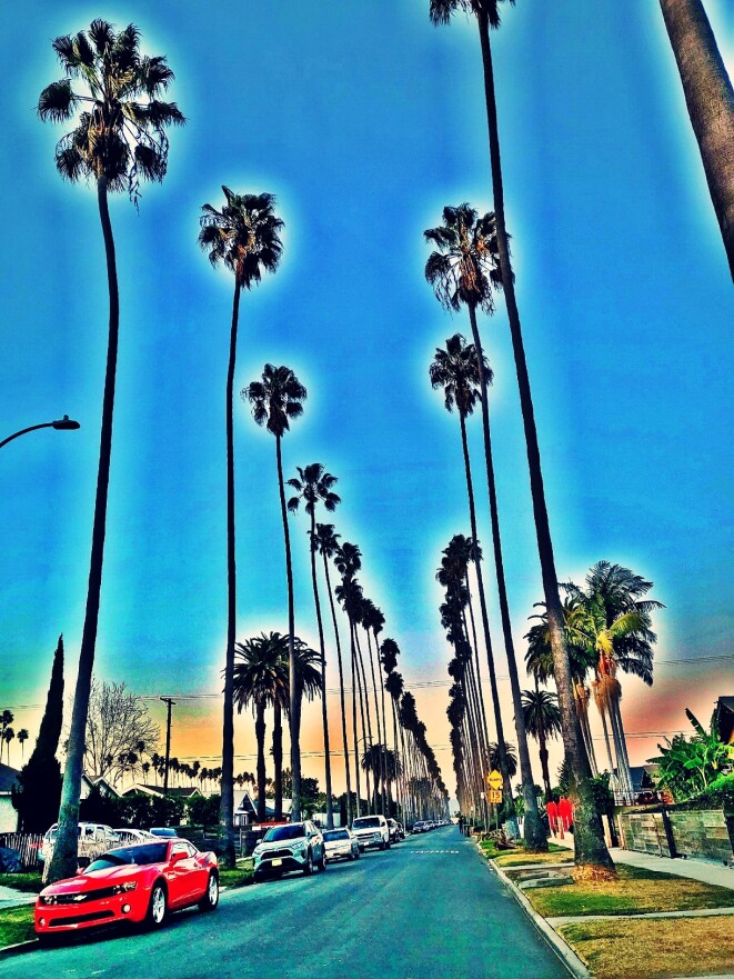 Typical California through my eyes