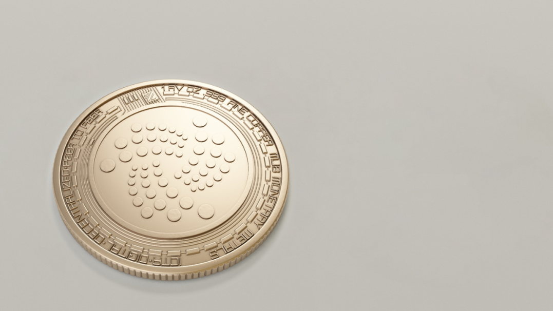 IOTA: Unleashing the Full Potential of the Internet of Things