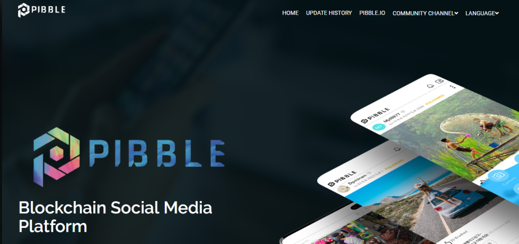 Earn PIB At Pibble - Better Than Instagram In Terms Of Monetary Reward