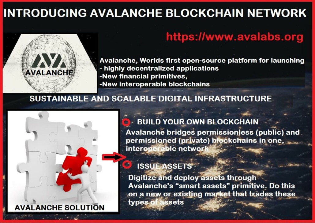 AVALANCHE, A SUSTAINABLE AND SCALABLE DIGITAL INFRASTRUCTURE