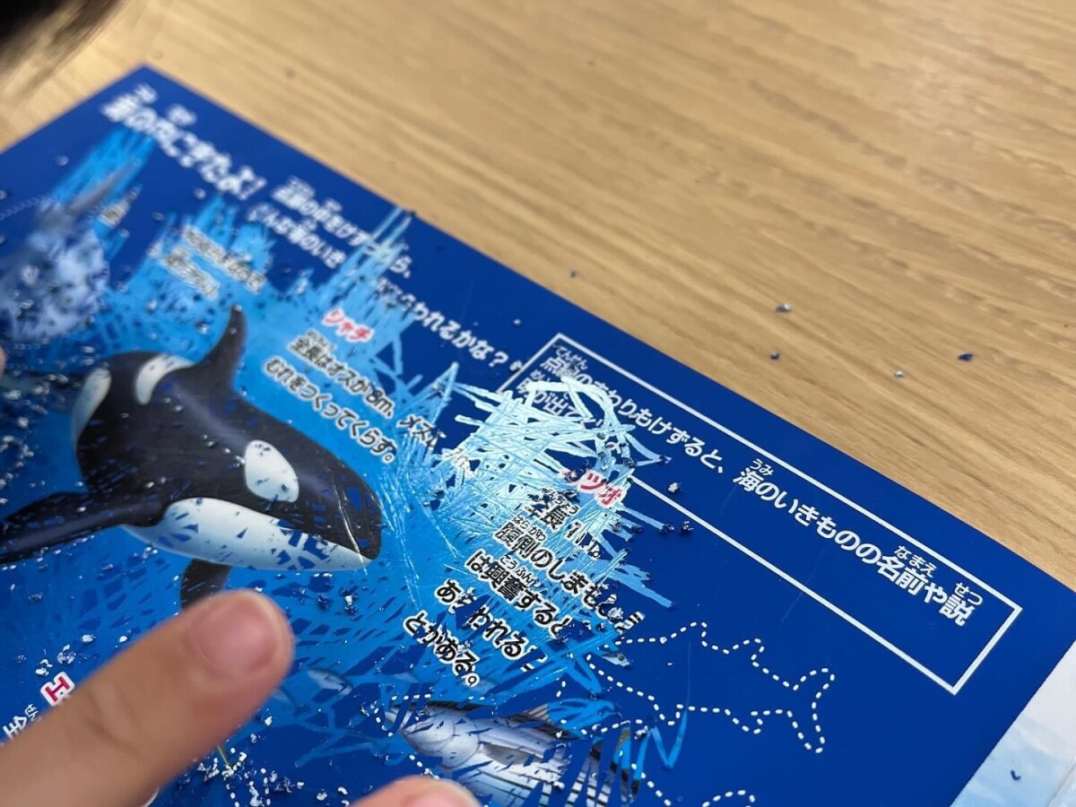 Buy Scratch Book in Daiso Japan