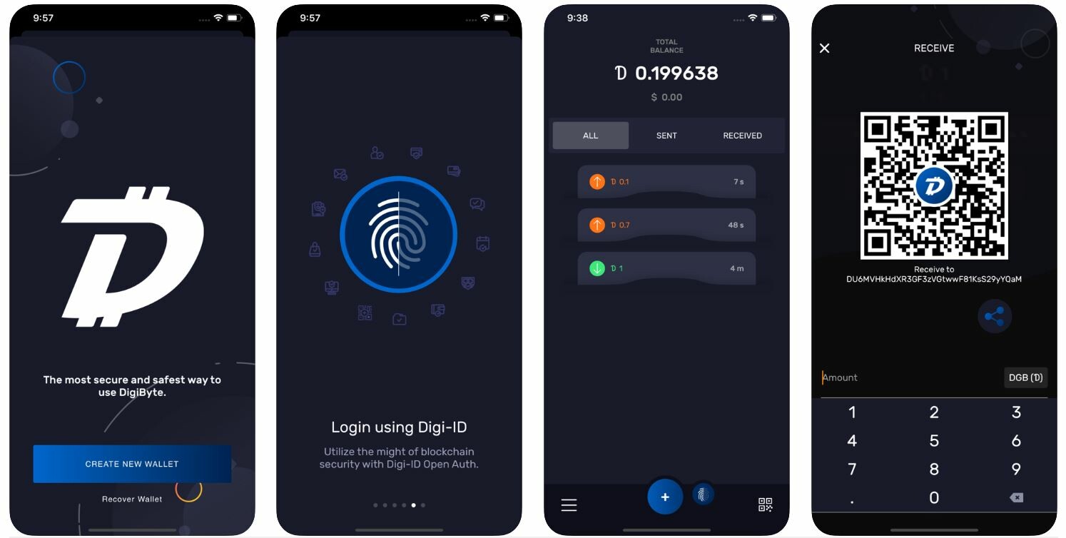 Top Things You Should Know About DigiByte (DGB)