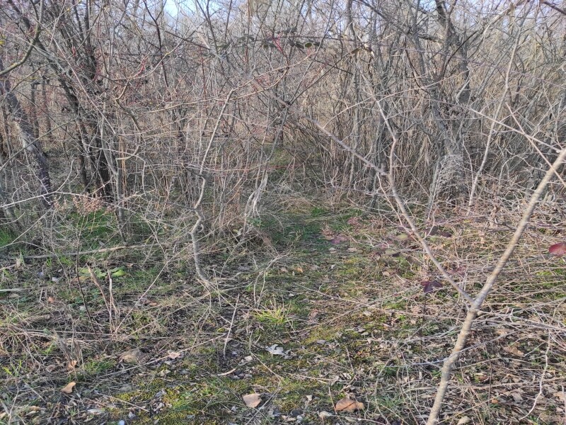 River hiking - River Panaro (Northern Italy) - part seven (A place have ...