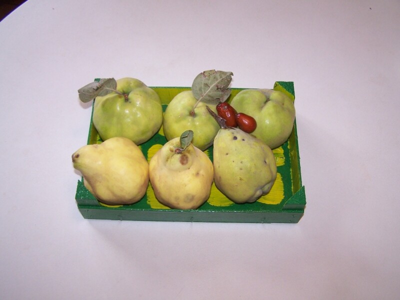 Ancient fruits rediscovered