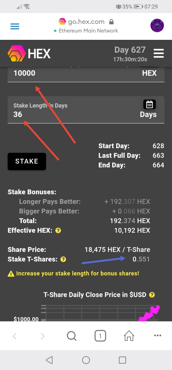 HEX - How to Stake - TEN Visual steps