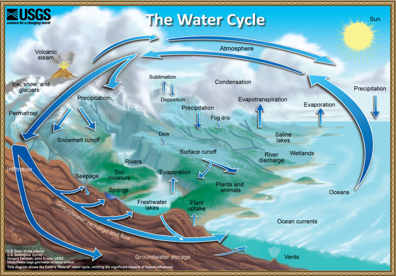 Exploring "Trapped Water": Beyond the Bottle