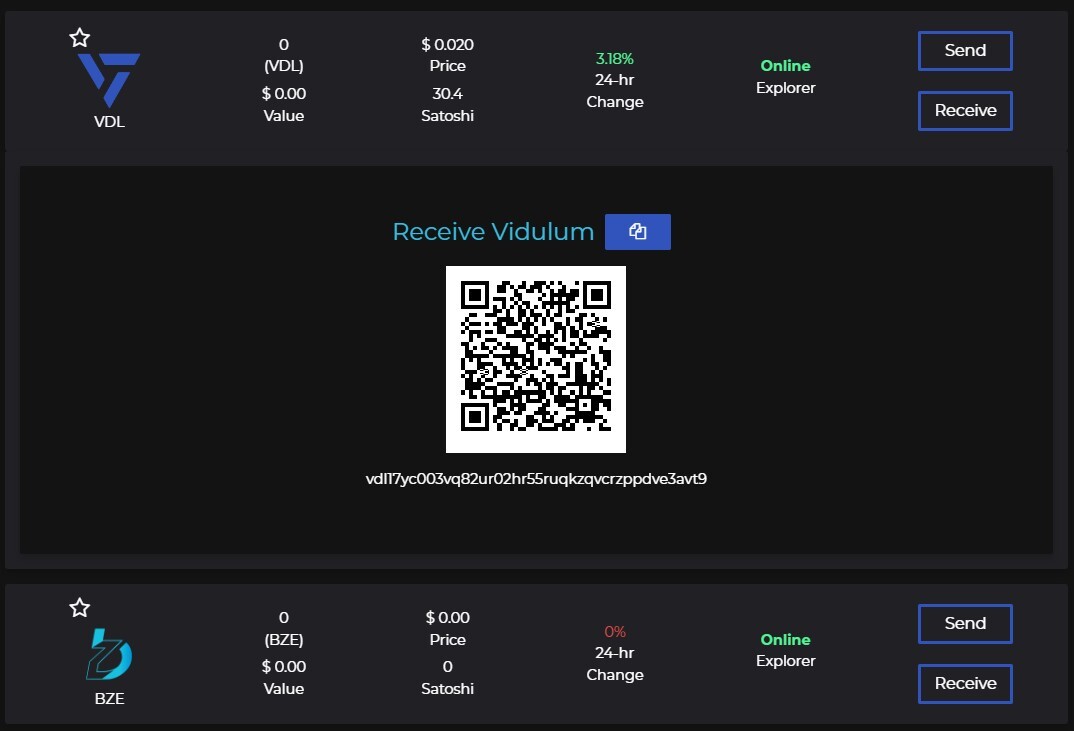 Blockchain: Vidulum Cloud Wallet Review