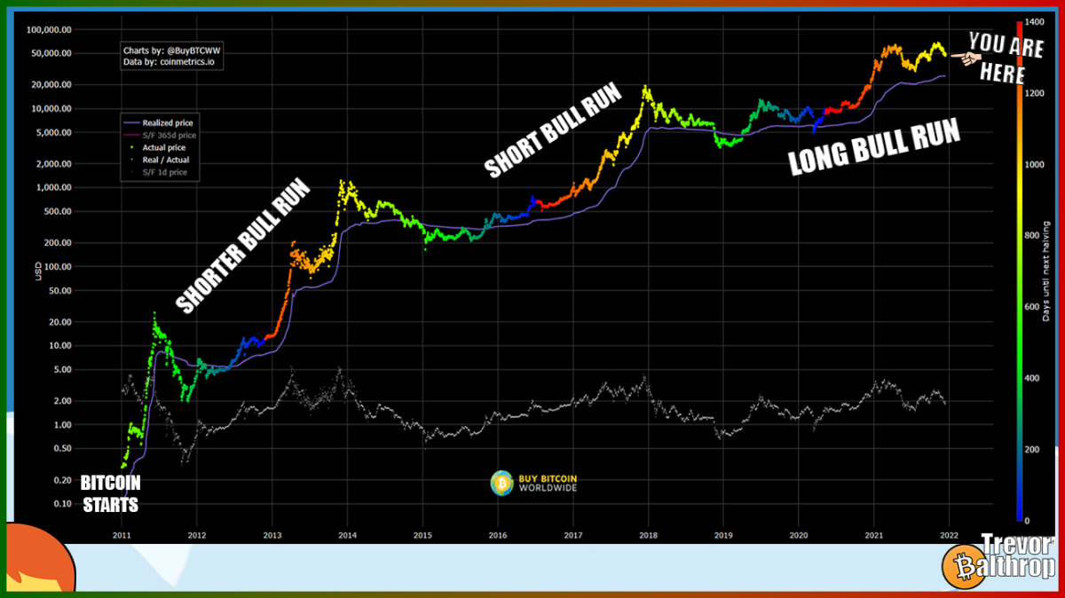 10 YEAR BITCOIN SUPER-CYCLE!!!