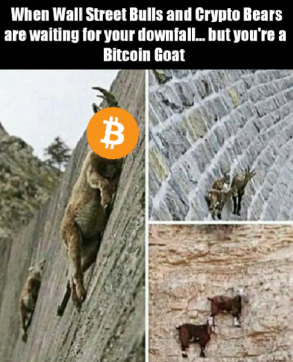 TOP 5 crypto-meme of the week