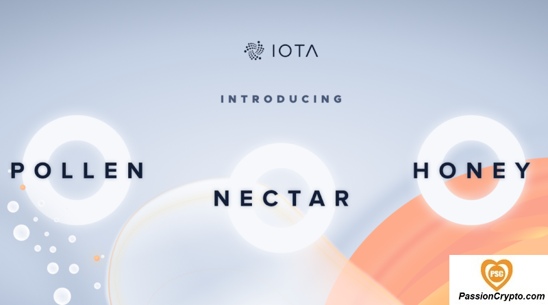 Where is IOTA heading