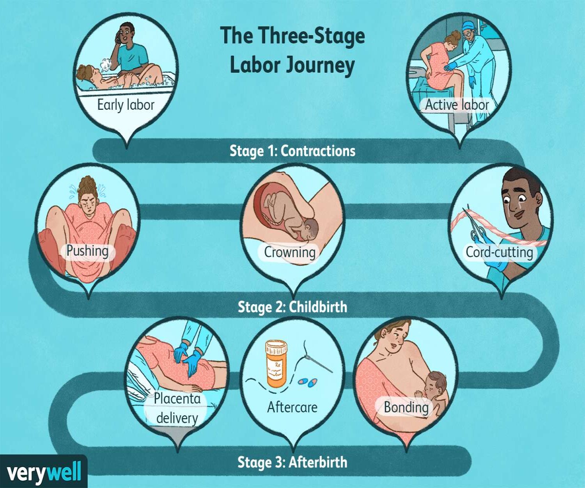 The Journey from Labor to Birth