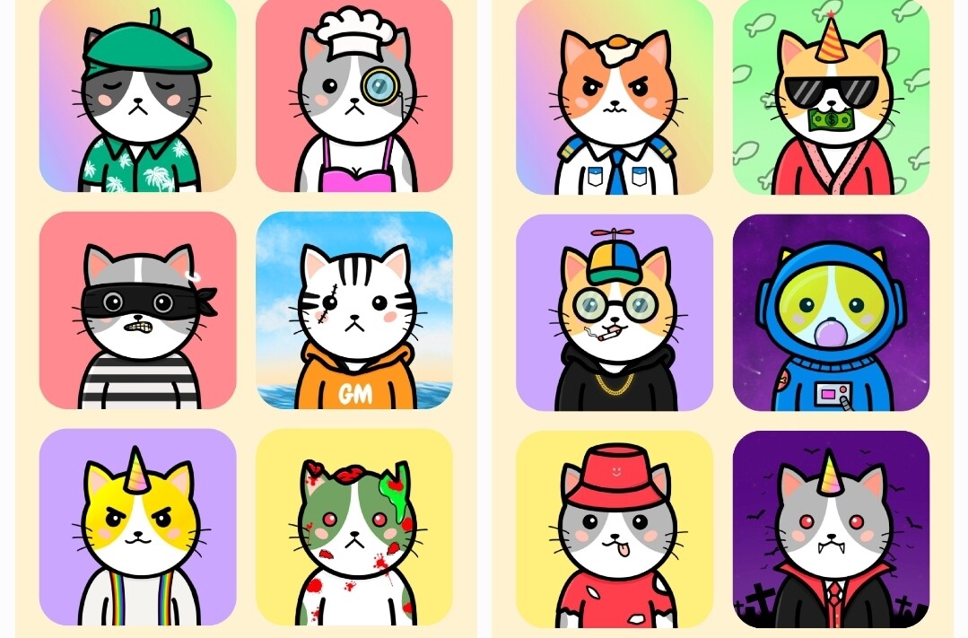 Not Only A Cute Cat JPG - ZKitty Innovates Blockchain Farming