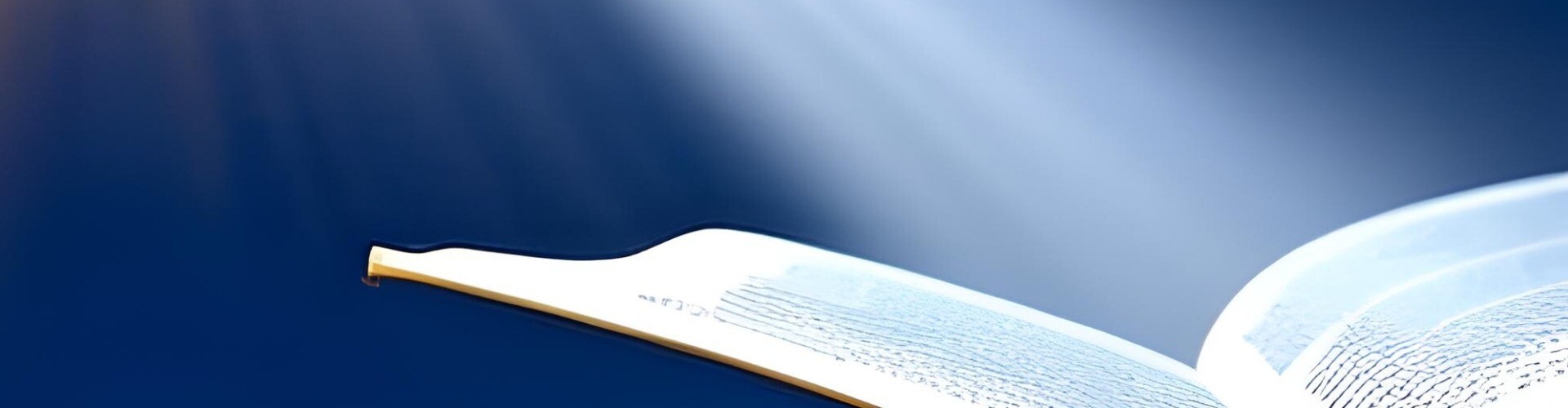 Ignite Your Inner Potential | Publish0x