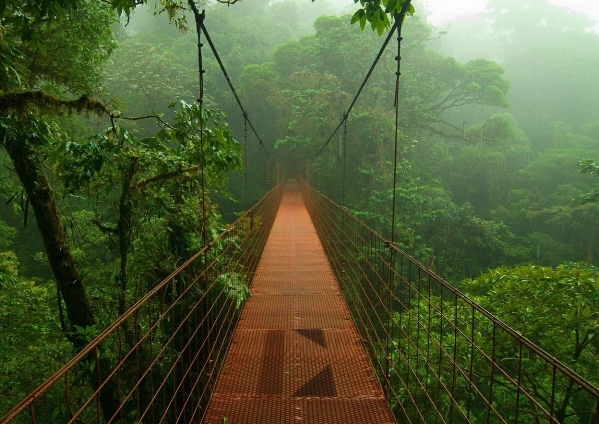 Exorde protocol overview