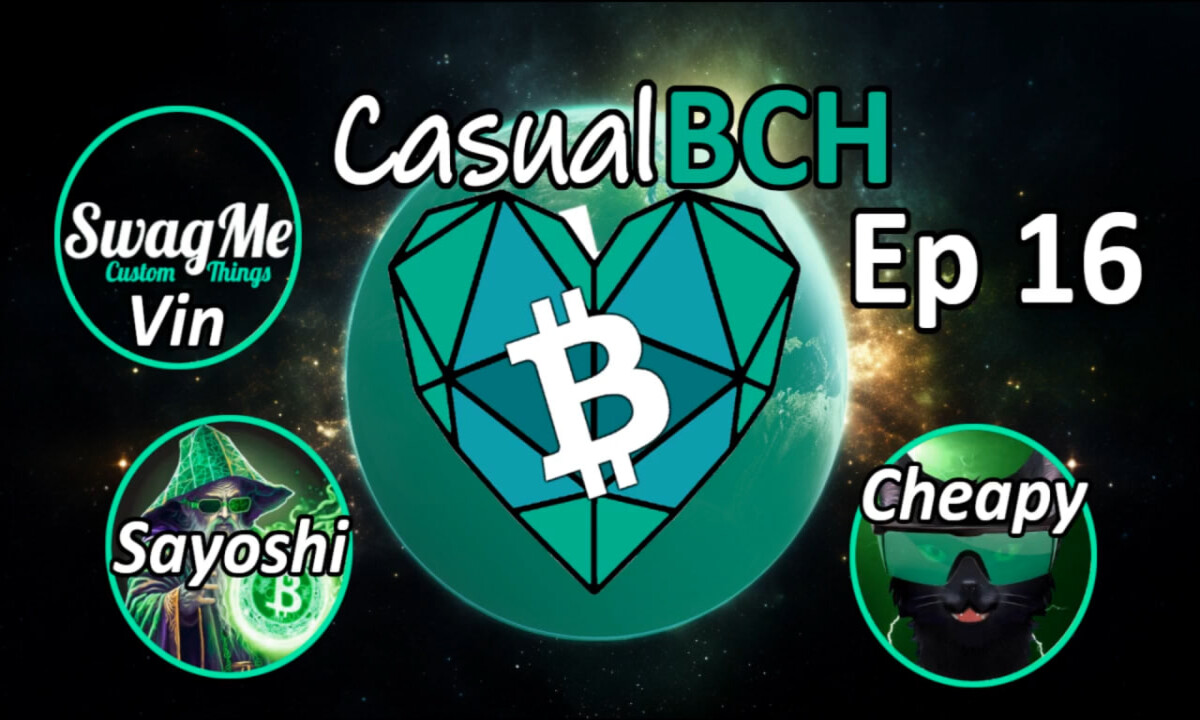 Bitcoin Cash Weekly News November 13th 2023 by the Bitcoin Cash Foundation