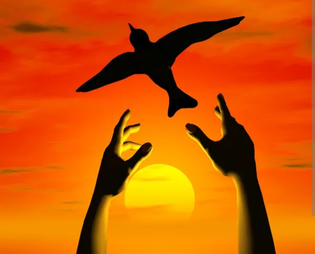 Bing (AI) and some of his jokes and songs