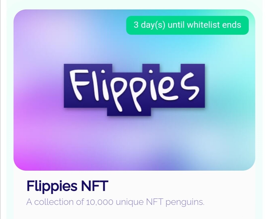 New Whitelist: Flippies NFT x Solanium 10 000 Flippies NFT.