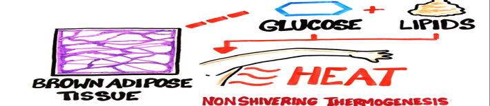 What Actually Happens When You Freeze To Death?