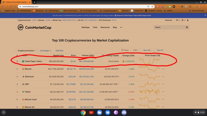 Toilet Paper Token - CoinMarketCap's New Project Better Than Bitcoin?!