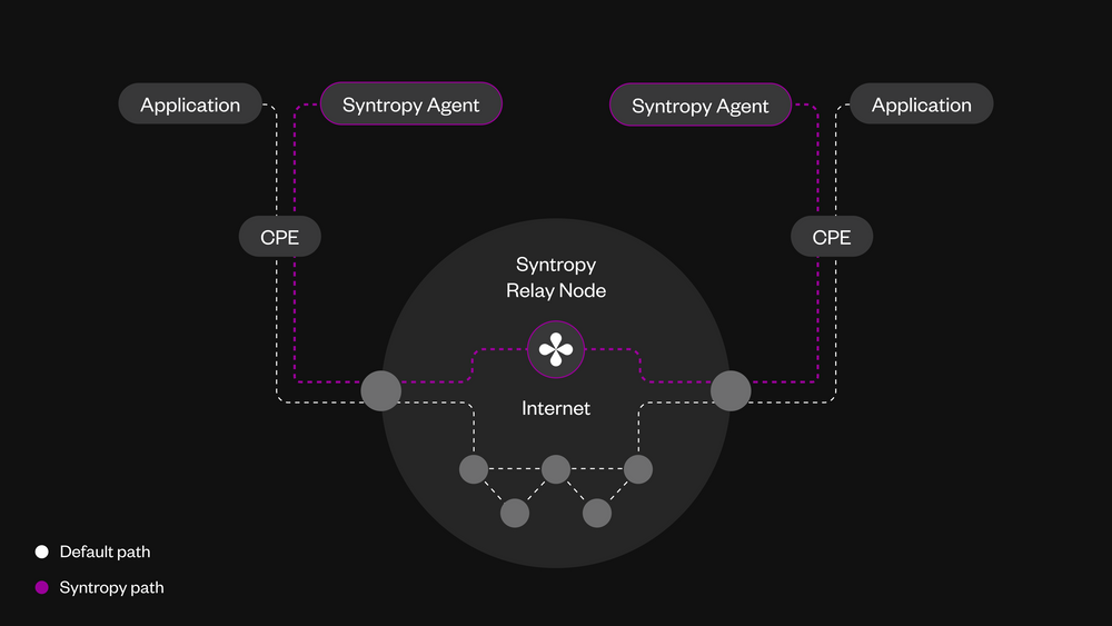 Case study: Entain & FIFA World Cup