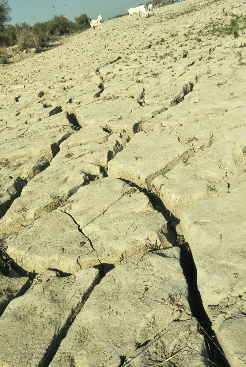 Hakra civilization and Pattan Minara