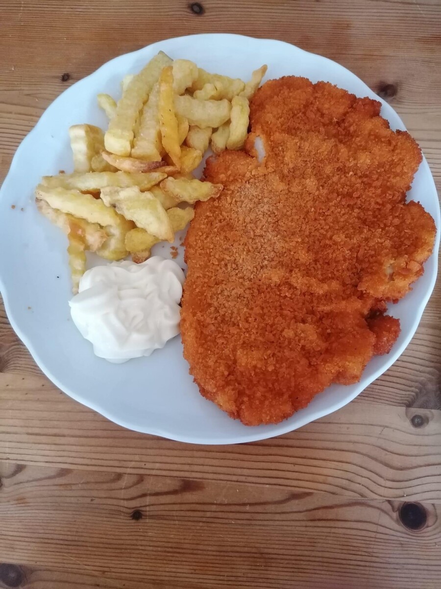 Daily meal #165 chicken snitsel