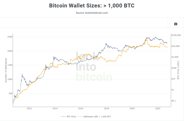 Bitcoin vs Satoshi, two side of the same coin