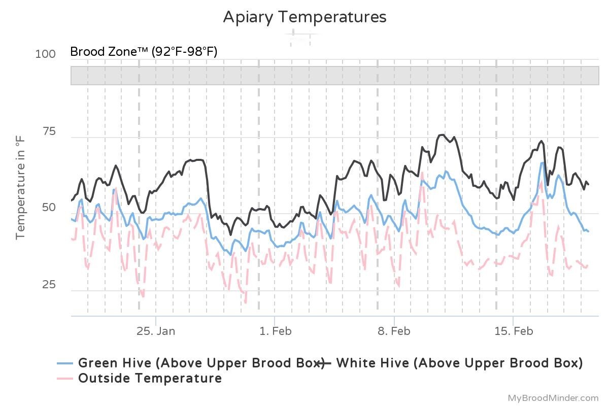My Broodminder: Saving the Bees with Backyard Data