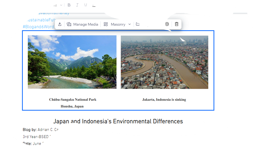 Jakarta Indonesia's Unfortunate Environment Status; what we could learn ...