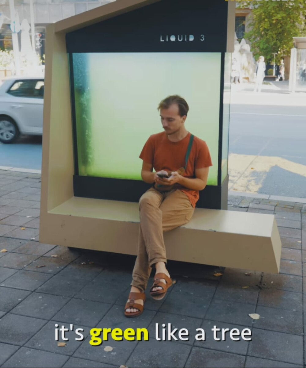 A Living, Breathing Liquid Tree - Solution to Pollution