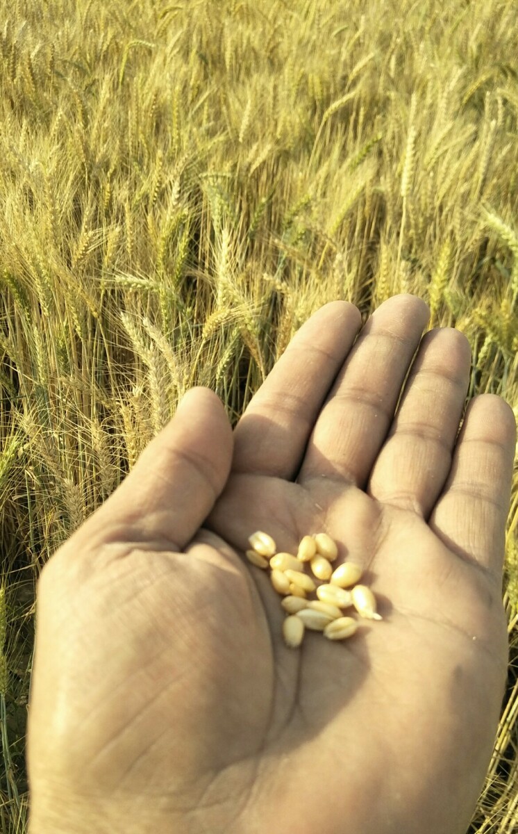 Happy, Happier , Happiest.