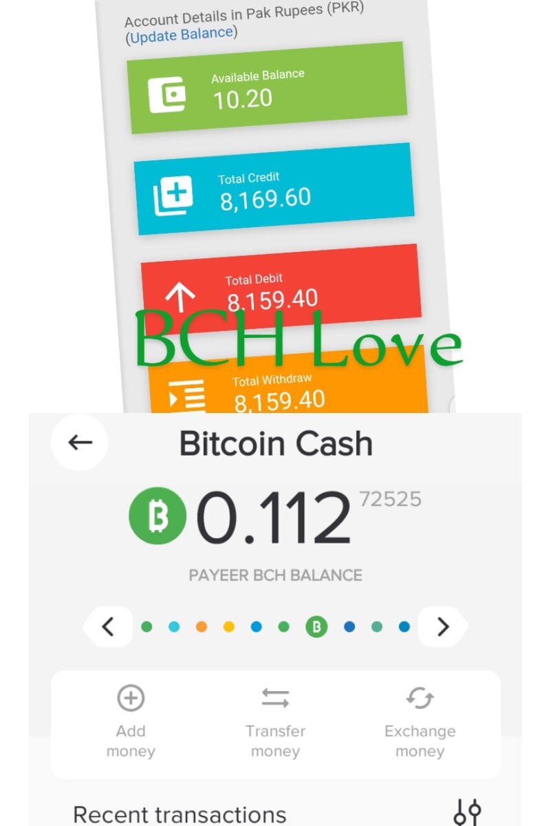 BCH Safe My Family When I made Practical use of BCH