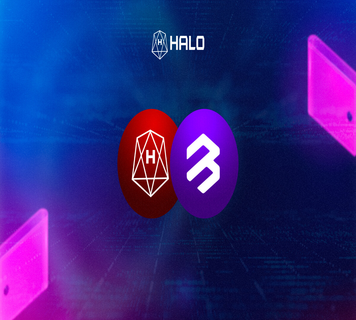 HALO Network June Development Recap